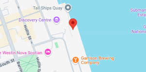 Sun, Fun, and Festivals: The Ultimate List of Must-Attend Summer ...