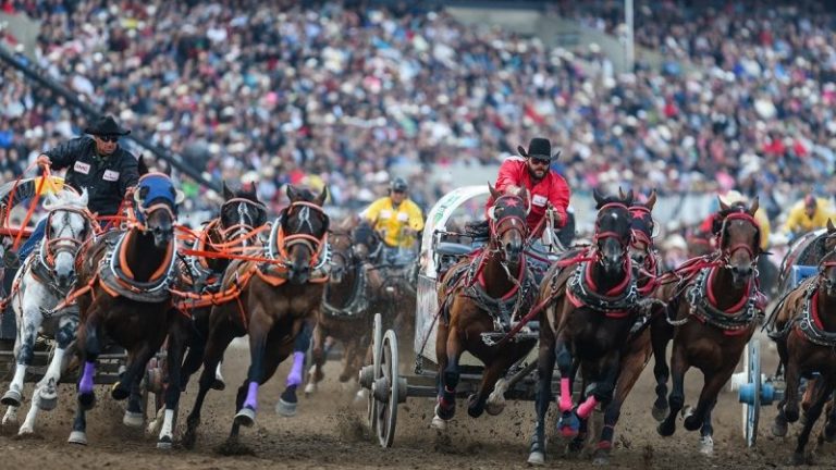 Calgary Stampede 2025: What to Do, Where to Eat, Stay and Park - Park ...