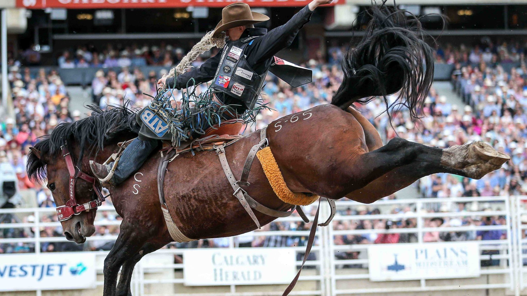 Stampede de Calgary 2025: Que faire, où Manger, où se Loger et où se ...