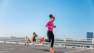 CNE (The Ex) Toronto 2025: What to See, Where to Eat, and Where to Park ...